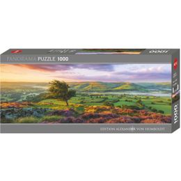 Heye Puzzle Purple Bloom, 1000 Puzzleteile, Made in Germany, bunt