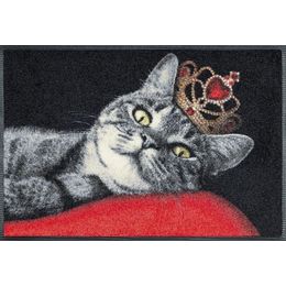 Fußmatte Royal Cat, wash+dry by Kleen-Tex, rechteckig, Höhe: 7 mm, Schmutzfangmatte, Motiv Katze, rutschhemmend, waschbar, rot|schwarz