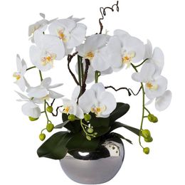 Kunstorchidee Phalaenopsis, Creativ green, Höhe 55 cm, im Keramiktopf, weiß