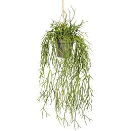 Kunstranke Rhipsalishänger Rhipsalis, Creativ green, Höhe 60 cm, grau