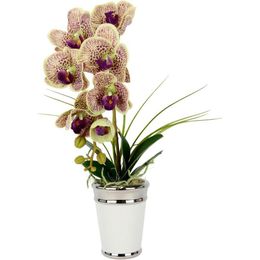 Kunstblume Orchidee, I.GE.A., Höhe 52 cm, im Topf, aus Keramik, Seidenblume Real Touch, rosa