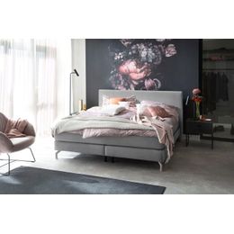 Schöner Wohnen Kollektion SCHÖNER WOHNEN-Kollektion Boxspringbett VITA, Füße Metall Chrom, grau