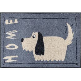Fußmatte Doggy Home, wash+dry by Kleen-Tex, rechteckig, Höhe: 7 mm, Schmutzfangmatte, Motiv Hund, mit Spruch, rutschhemmend, grau