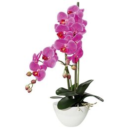 Kunstpflanze Orchidee Orchidee, Creativ green, Höhe 50 cm, lila