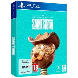 Deep Silver Saints Row Notorious Edition PlayStation 4