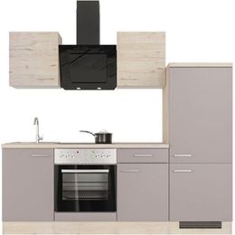 Flex-Well Küche Riva, mit E-Geräten, Breite 220 cm, in vielen Farbvarianten erhältlich, grau