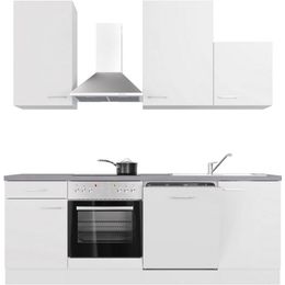 Flex-Well Küche Neo, wahlweise mit E-Geräten, Gesamtbreite 220 cm, grau|weiß