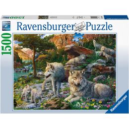 Ravensburger Puzzle Wolfsrudel im Frühlingserwachen, 1500 Puzzleteile, Made in Germany, FSC® - schützt Wald - weltweit, bunt
