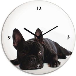 Artland Wanduhr Bulldogge (wahlweise mit Quarz- oder Funkuhrwerk, lautlos ohne Tickgeräusche), schwarz