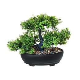 Expo-Börse Kunstpflanze Bonsai Buchsbaum 26 x 20 cm im Topf mit Echtsteindeko
