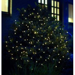 Star-Max LED-Lichternetz Weihnachtsdeko aussen, mit zahlreichen warmweißen LEDs, für den Außenbereich, grün