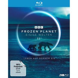 Polyband Frozen Planet - Eisige Welten 2 (Blu-ray)