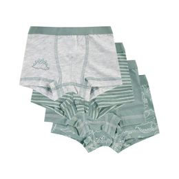 Jacky - Boxershorts DINOPARTY 4er-Pack in grün, Gr.146/152