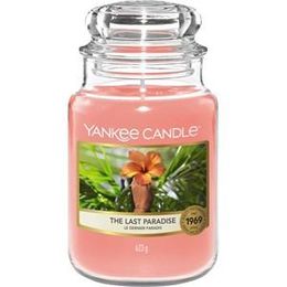 yankee candle Raumdüfte Duftkerzen The Last Paradise Classic Medium Glass