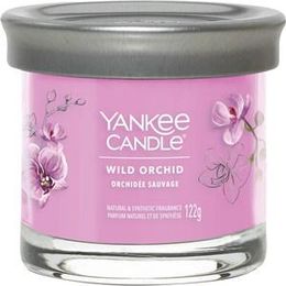 yankee candle Raumdüfte Small Tumbler PinkWild Orchid