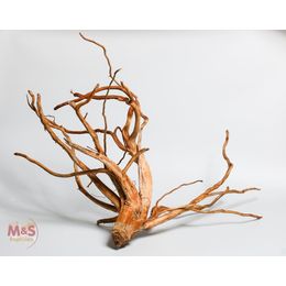 M&S Reptilien Terrarium ''Lagune''Driftwood (Treibholz) ''Hibiscus tiliaceus'' 40-60 cm (smal