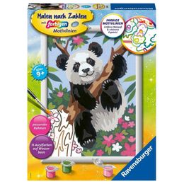 Ravensburger Malen nach Zahlen Malen nach Zahlen Classic Serie D Süße Pandabär 20161