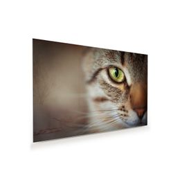 Primedeco Glasbild Wandbild Gesicht von getigerter Katze mit Aufhängung