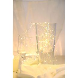 Globo VENUTO Lichterkette LED Silber, 20-flammig