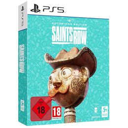 Deep Silver Saints Row Notorious Edition PS5 Spiel PlayStation 5