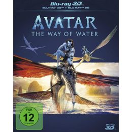 Avatar: The Way of Water - 3D-Version
