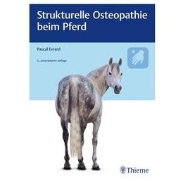 Strukturelle Osteopathie beim Pferd
