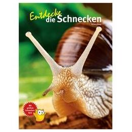 Entdecke die Schnecken