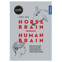 Kosmos Horse Brain, Human Brain