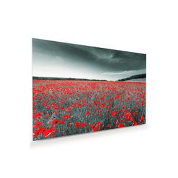 Primedeco Glasbild Wandbild Wiese mit Rotem Mohn mit Aufhängung