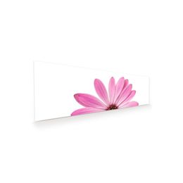 Primedeco Glasbild Wandbild Blüte von Nah mit Aufhängung