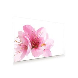 Primedeco Glasbild Wandbild Rosa Blüten mit Aufhängung
