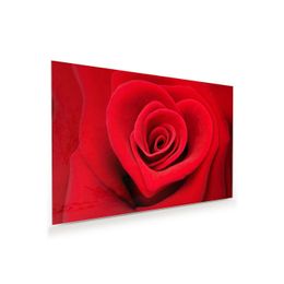 Primedeco Glasbild Wandbild Rose in Form eines Herz mit Aufhängung
