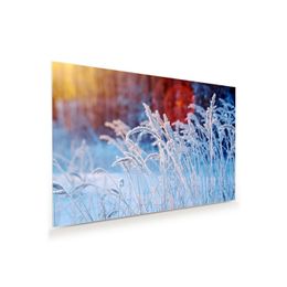 Primedeco Glasbild Wandbild Eisblumen mit Aufhängung
