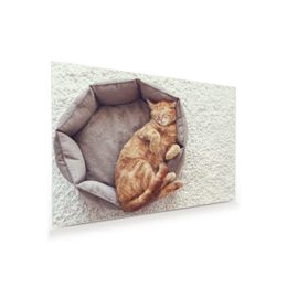 Primedeco Glasbild Wandbild Katze im Korb mit Aufhängung