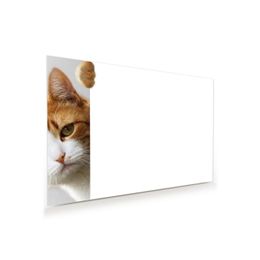 Primedeco Glasbild Wandbild Katze hinter Tür mit Aufhängung