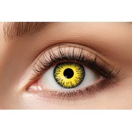 Eyecatcher Farblinsen Sunflower Effekt Kontaklinsen