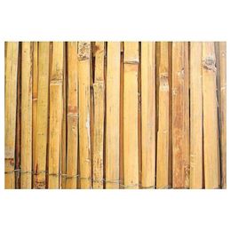 Proregal® Gartenzaun Sichtschutzzaun aus gespaltenem Bambus