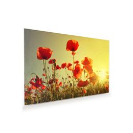 Primedeco Glasbild Wandbild Roter Mohn im Sonnenschein mit Aufhängung