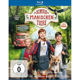 Die Schule der magischen Tiere (Blu-ray)