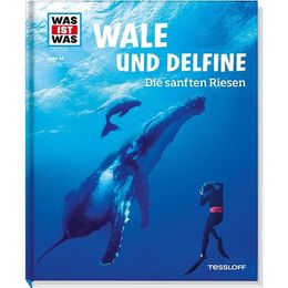 Wale und Delfine. Die sanften Riesen / Was ist was Bd.85 - Manfred Baur, Gebunden