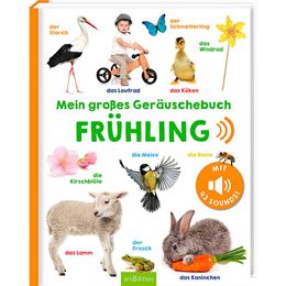 Ars Edition Mein großes Geräuschebuch - Frühling, Pappband