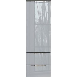 Germania Midischrank Vasio Schrank mit 2 Schubladen, einer Tür und verstellbarem Einlegeboden, grau|silberfarben