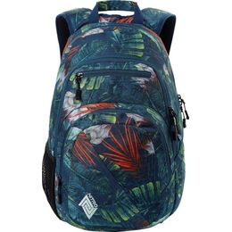 Nitro Schulrucksack Stash 29, Alltagsrucksack, Rucksack für Freizeit, Schule, Arbeit und Reise, bunt