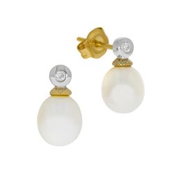 Zeeme Pearls Ohrringe 925/- Sterling Silber Süßwasserzuchtperle weiß 1,5cm Glänzend