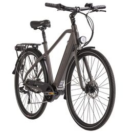 HOLLANDIA Alu E-Citybike Herren Mantova 28'' E-Bike grau 250 Watt Li-Ion 36V/10,4 Ah 7 Gänge