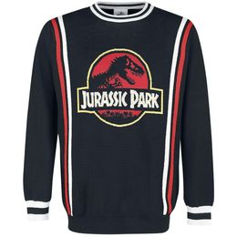Jurassic Park Retro Logo Strickpullover multicolor in L
