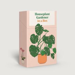 Thames & Hudson Houseplant Gardener in a Box - Jane Perrone, Box