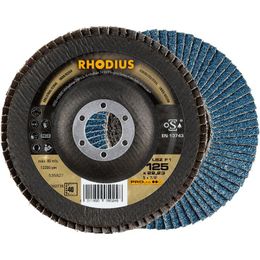 Rhodius Abrasives - rhodius lsz F1, 10 Stück, 150 mm, Korn 40, Fächerscheibe
