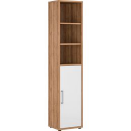 MAJA MÖBEL MAJA MÖBEL Aktenregal »Homebase«, Breite 47, 2 cm weiß Riviera Eiche - weiß Hochglanz