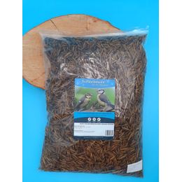 1kg Futterbauer Soldatenfliegenlarven Vogelfutter Nagerfutter wie Mehlwürmer